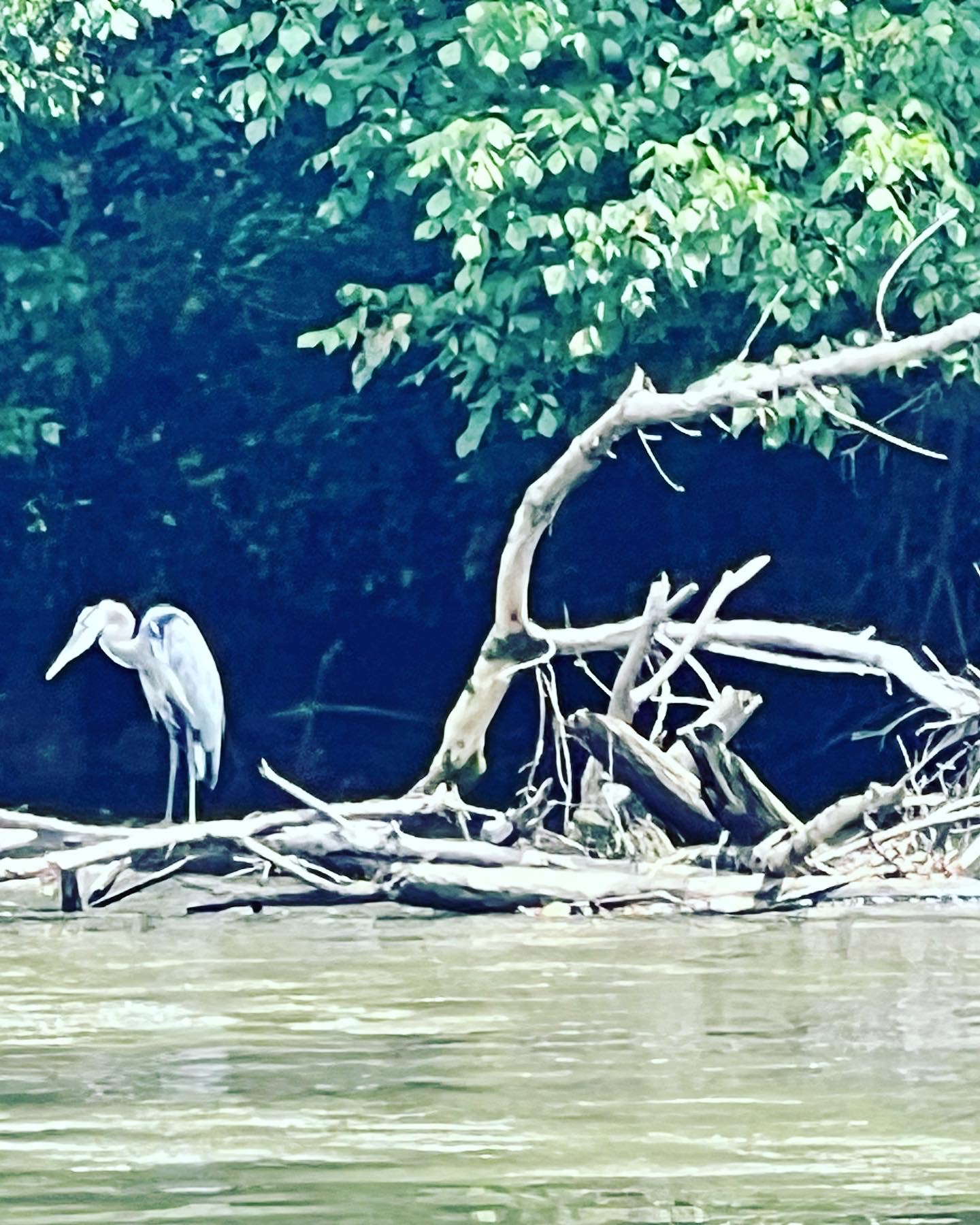 Living Love Weekly – Healing Waters + Prayer for Hurricane Hilary Path ...