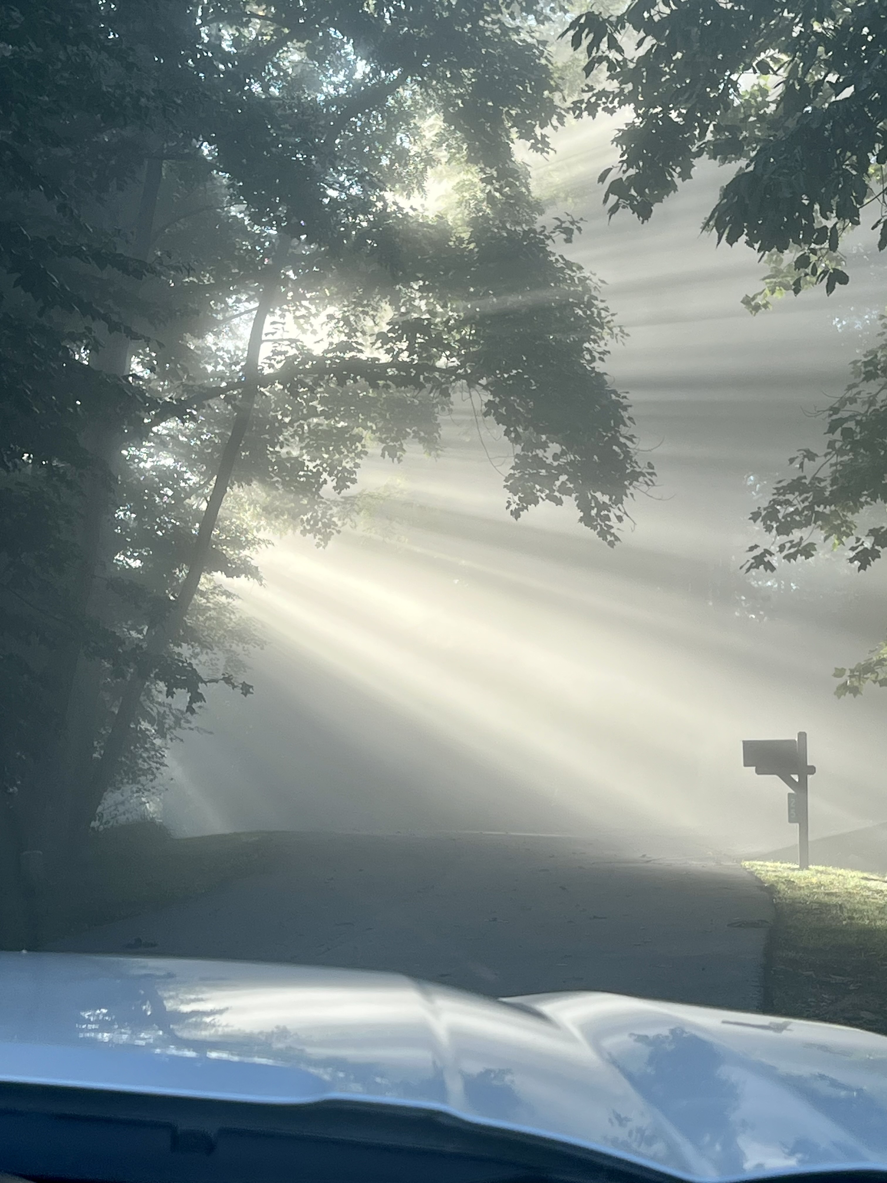 Living Love Weekly – Healing Waters + Prayer for Hurricane Hilary Path ...